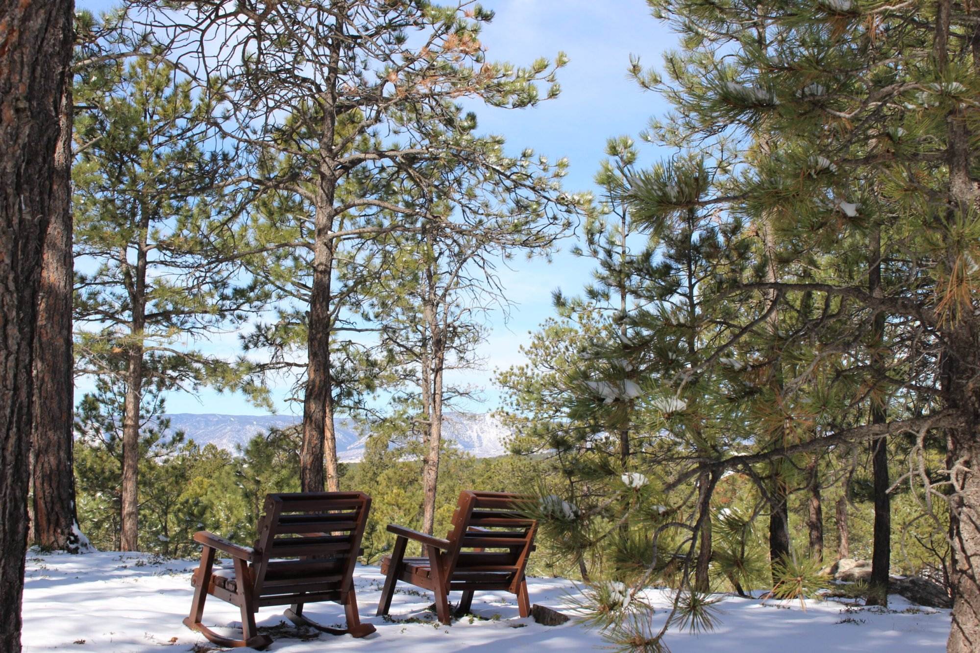 Who we are becoming | Benet Hill Monastery