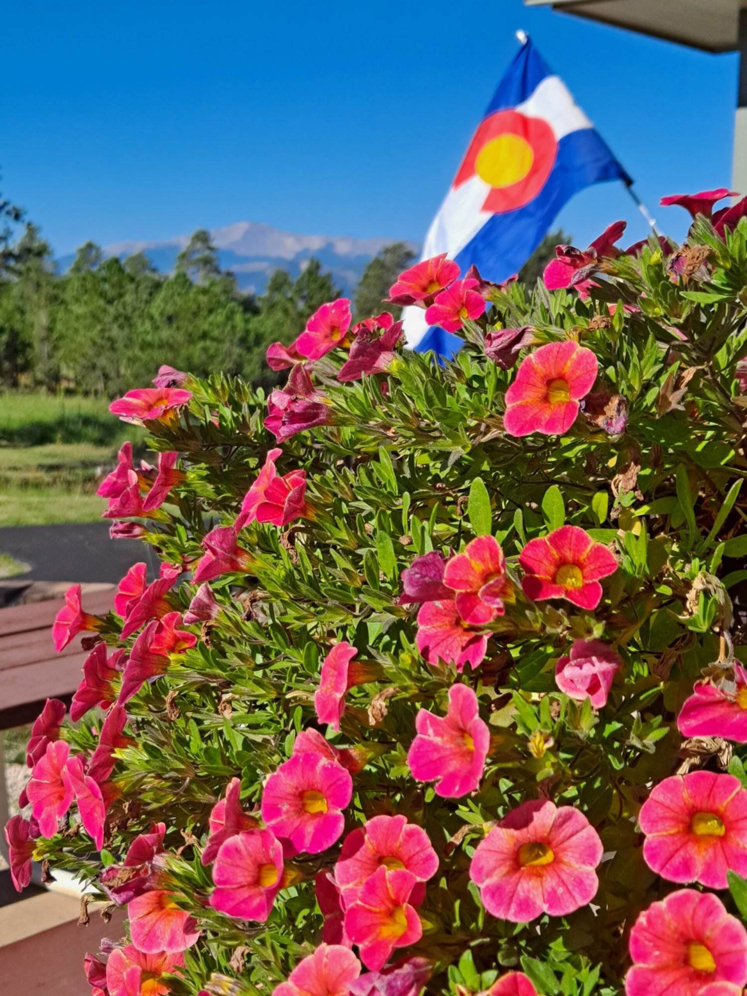 Walk the paths | Benet Hill Monastery